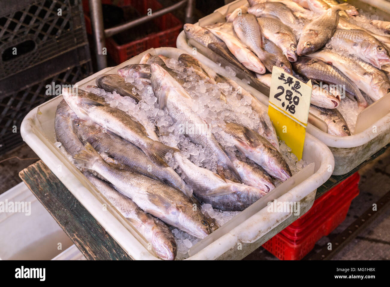 New york seafood hi-res stock photography and images - Alamy