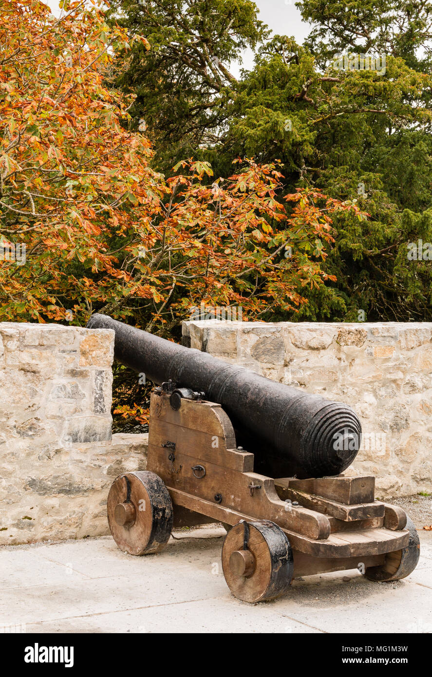 Cannon at Ross Castle, Killarney National Park, Ireland in autumn. The ...