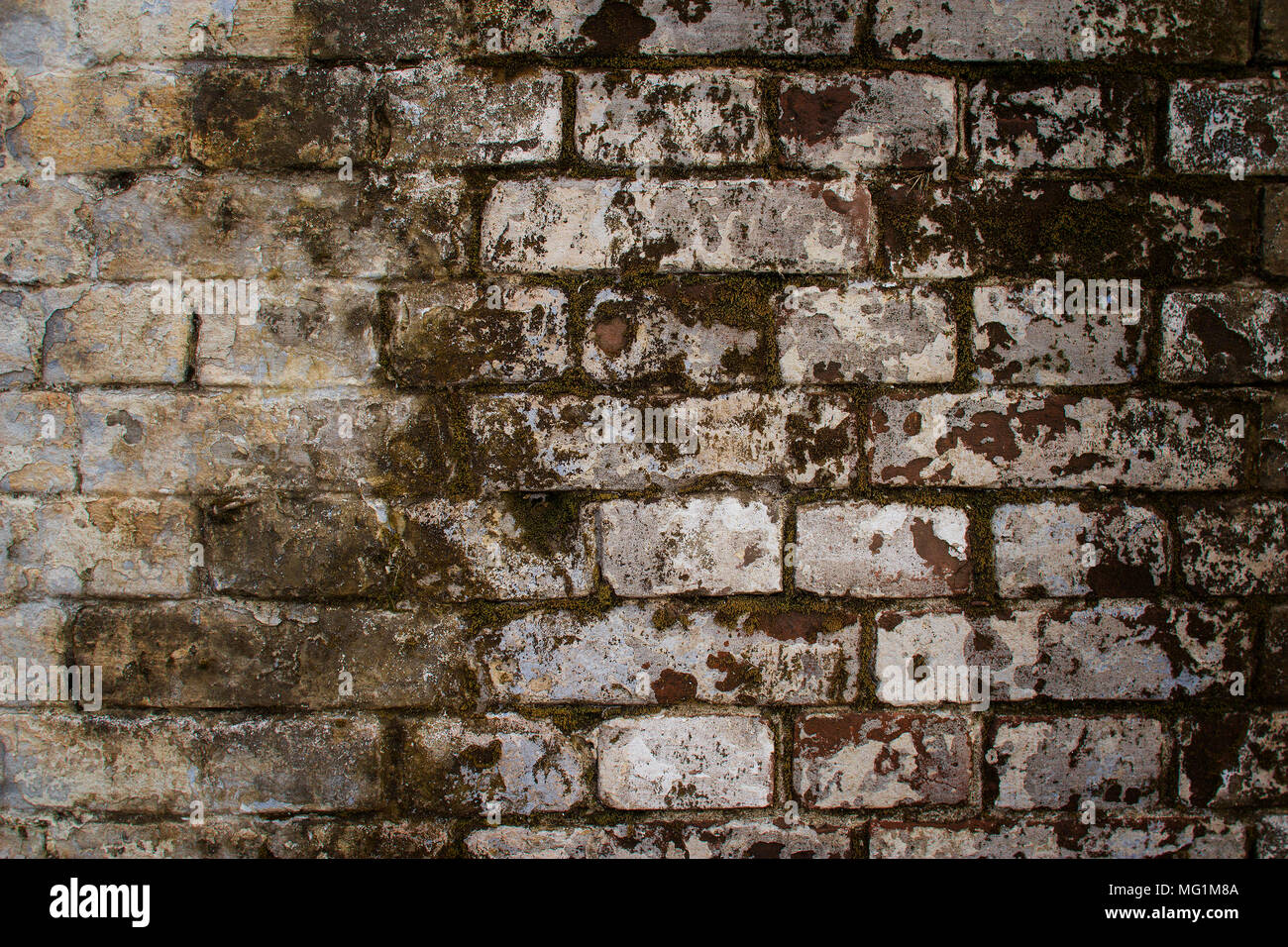 Background of old brick mossy wall texture Stock Photo - Alamy