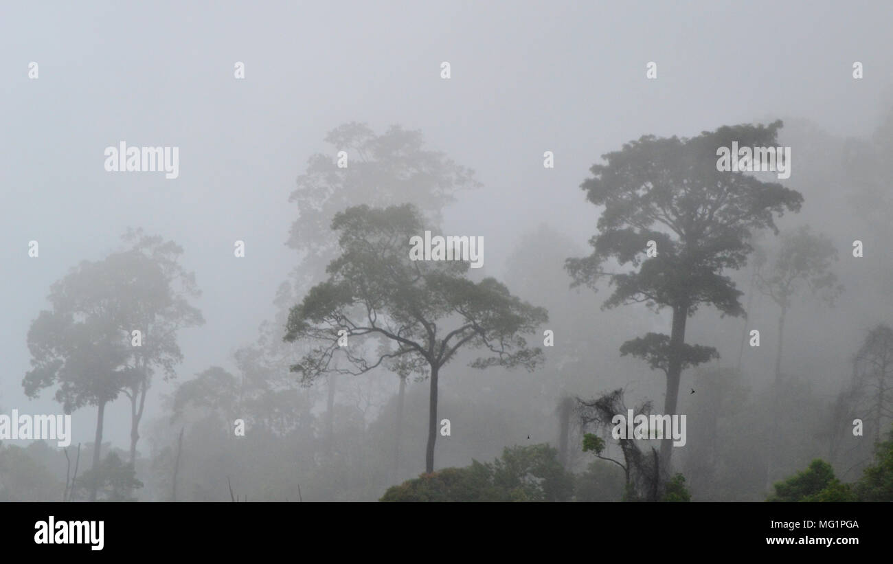 view of the Meratus mountains in South Borneo, Indonesia Stock Photo ...