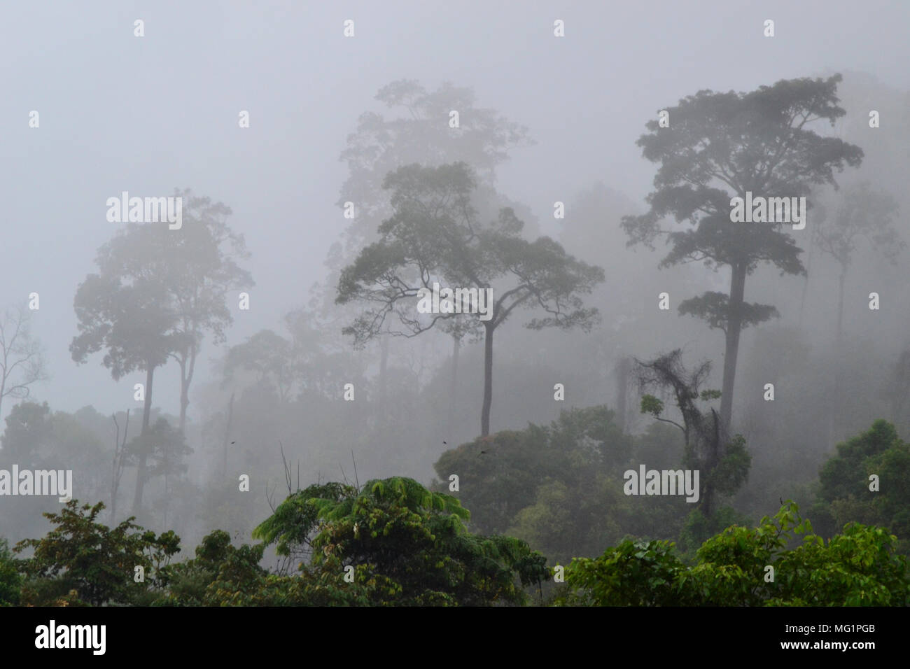 view of the Meratus mountains in South Borneo, Indonesia Stock Photo ...