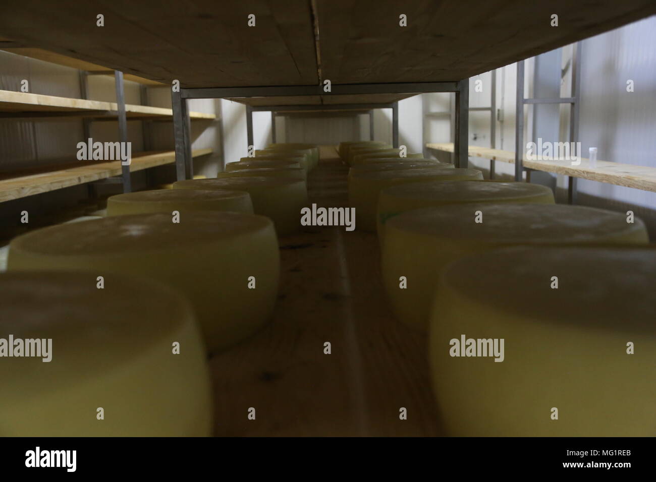 Cheese factory in Greece Stock Photo - Alamy
