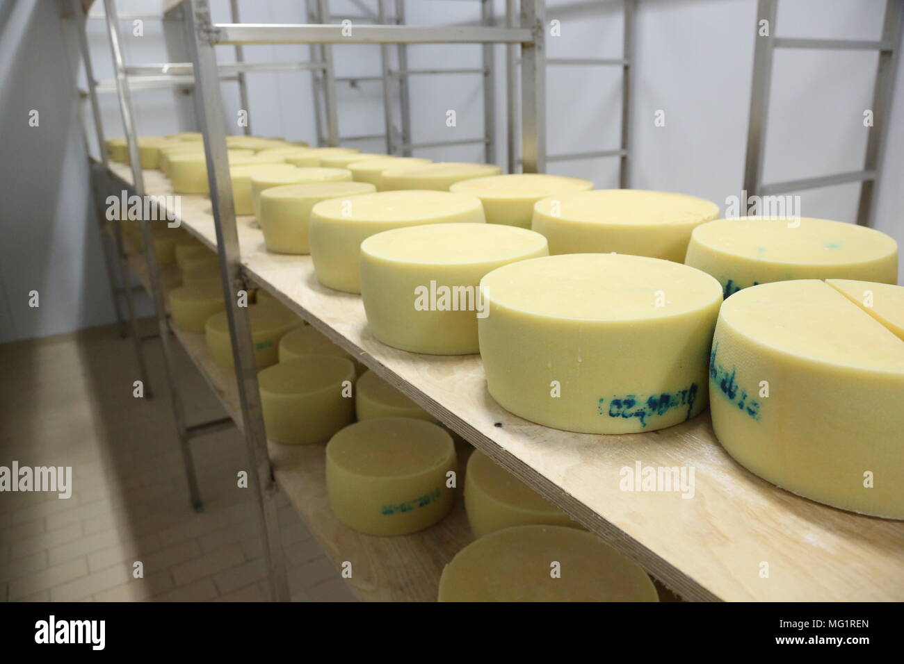 Cheese factory in Greece Stock Photo - Alamy