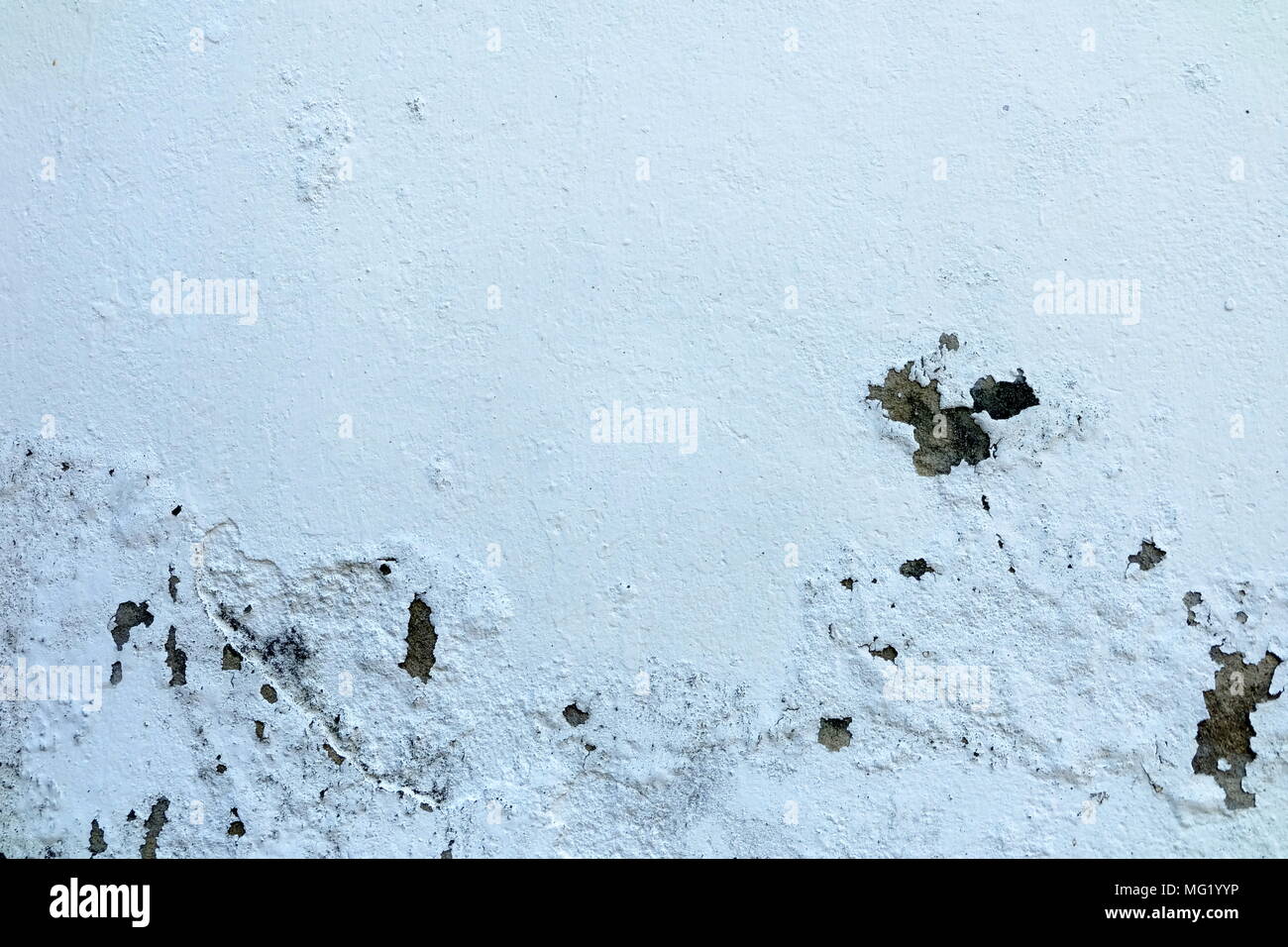 White Grunge Wall Texture Background Stock Photo - Alamy