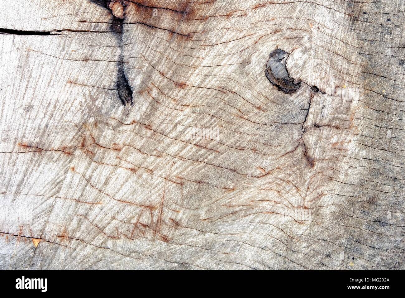 Wood Cutting Background Stock Photo - Alamy