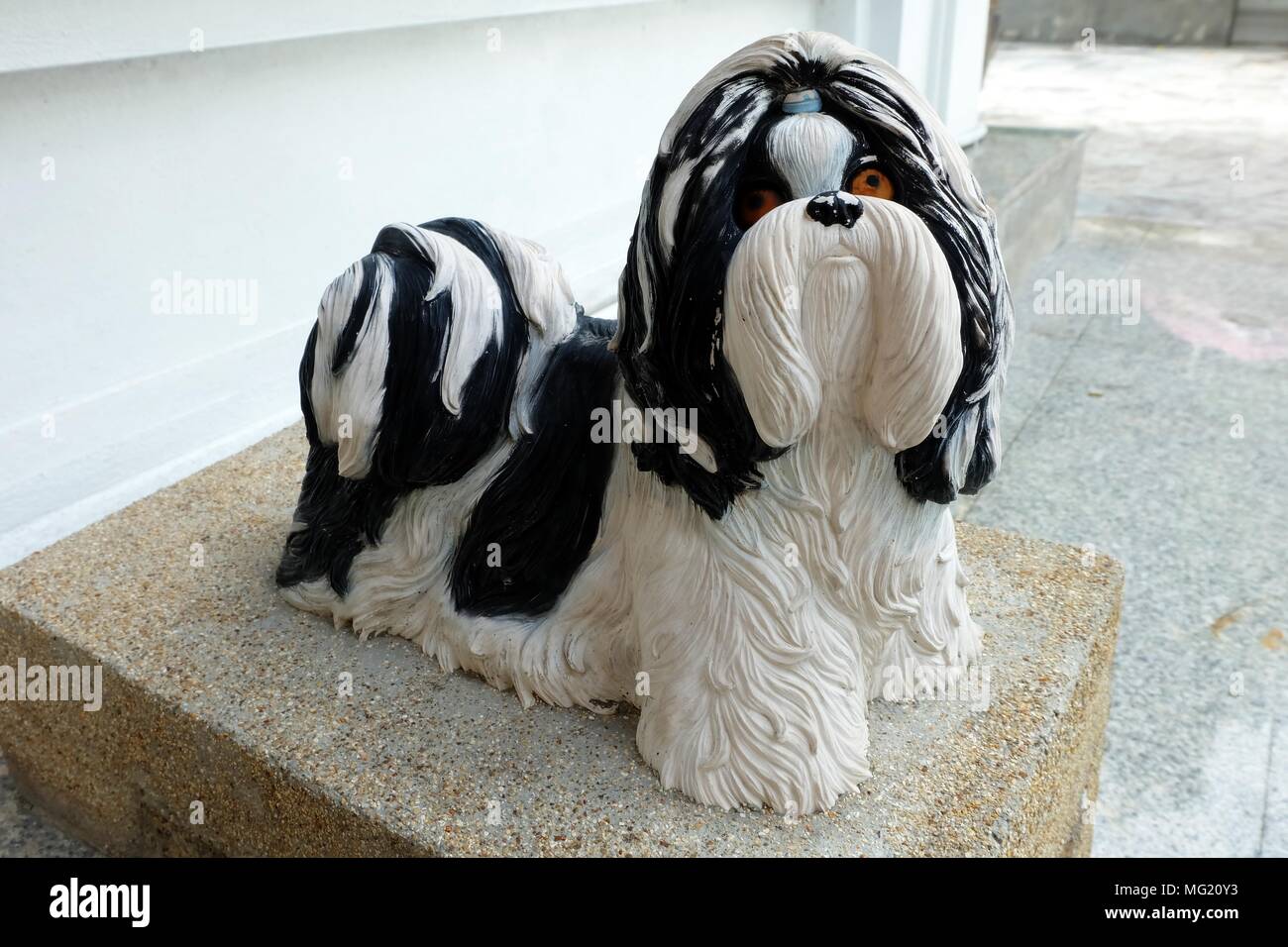 Shih-Tzu Dog Statue Stock Photo - Alamy