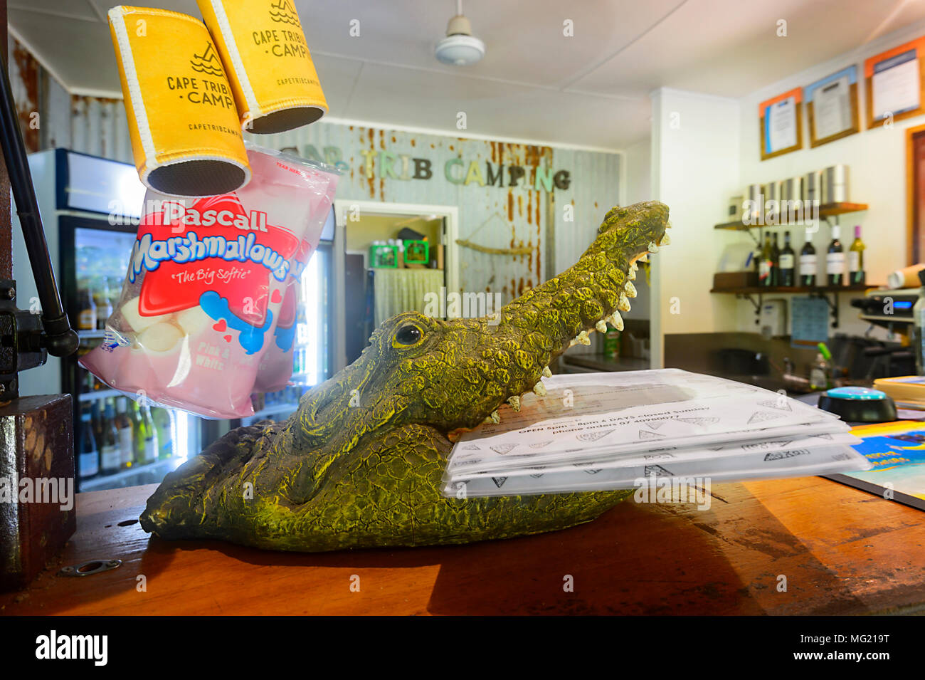 Crocodile head holding menus in a restaurant at Cape Tribulation ...