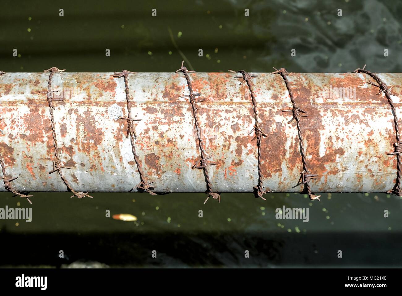 Barbed Wire on Water Pipe Stock Photo - Alamy