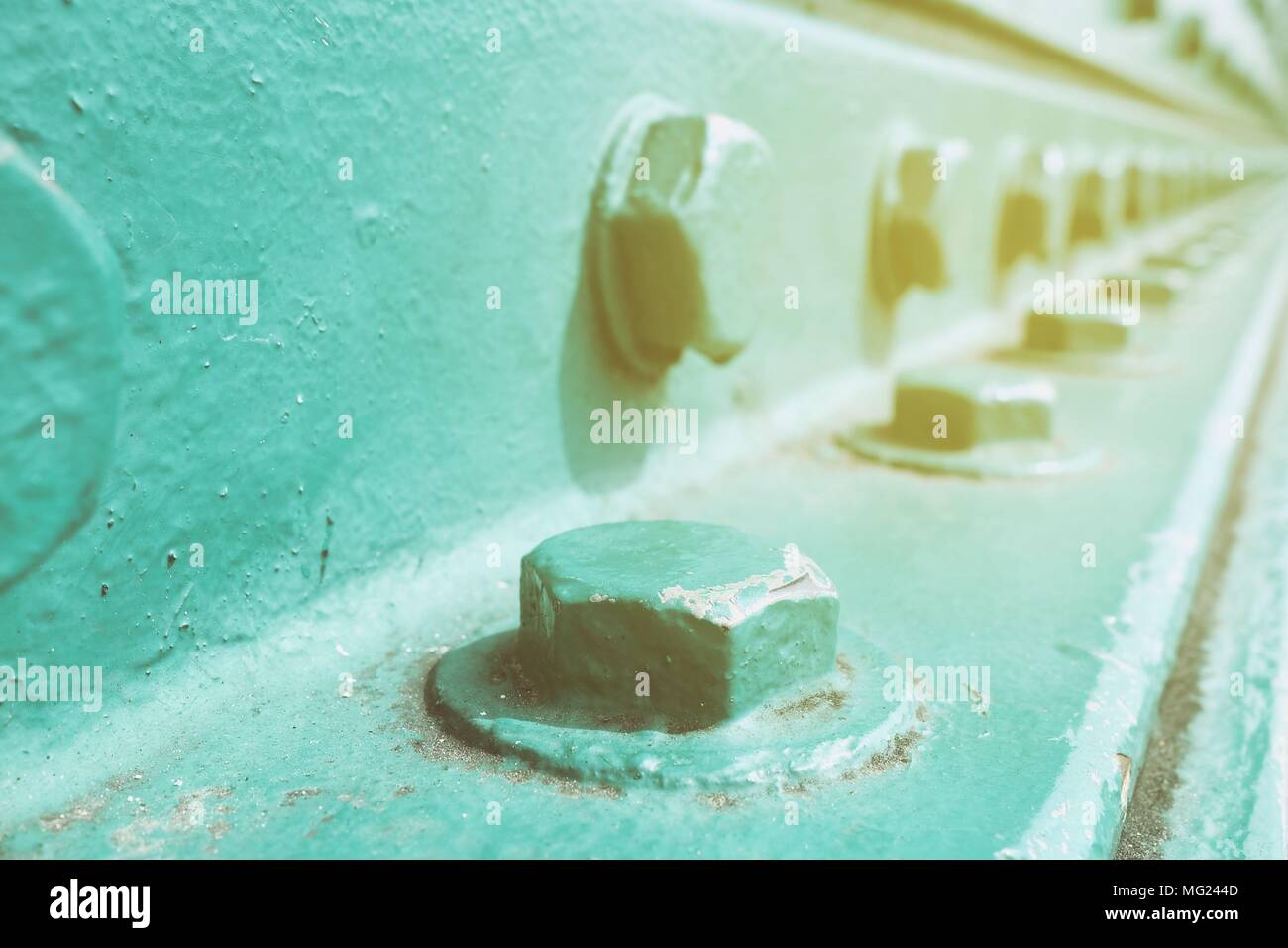 Big nut hi-res stock photography and images - Alamy