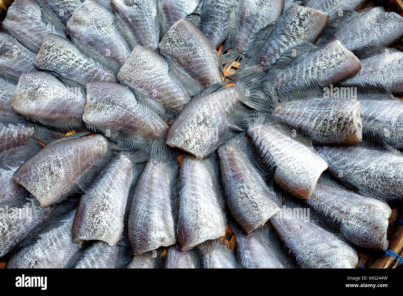 Dried fish dry skin fish hi-res stock photography and images - Alamy