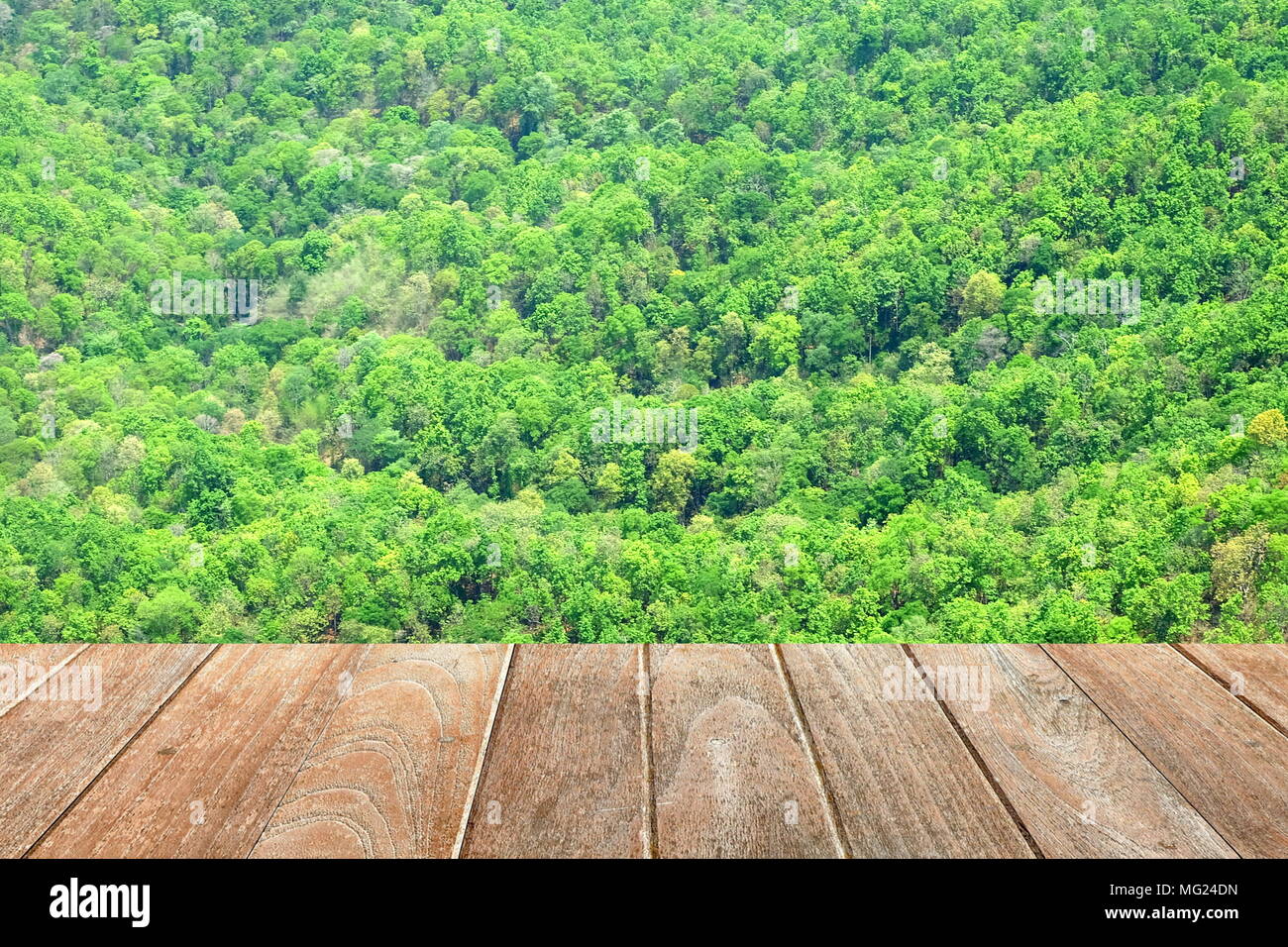 Empty Wooden Board with Forest Background Stock Photo - Alamy
