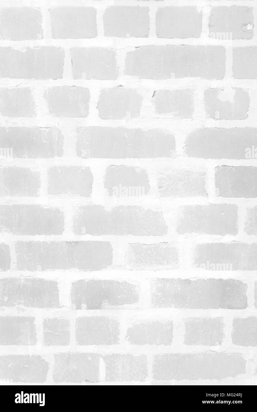 White Rectangle Vertical