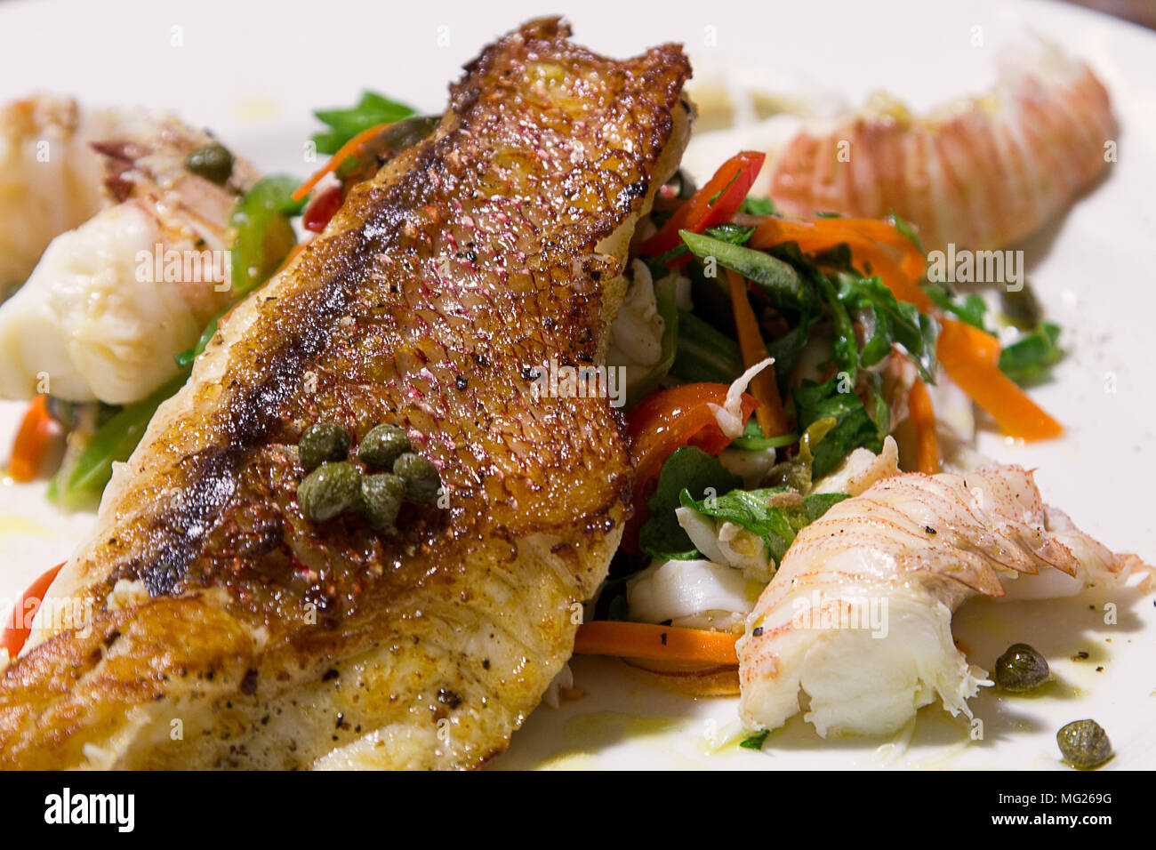 Snapper fish fillet hi-res stock photography and images - Alamy
