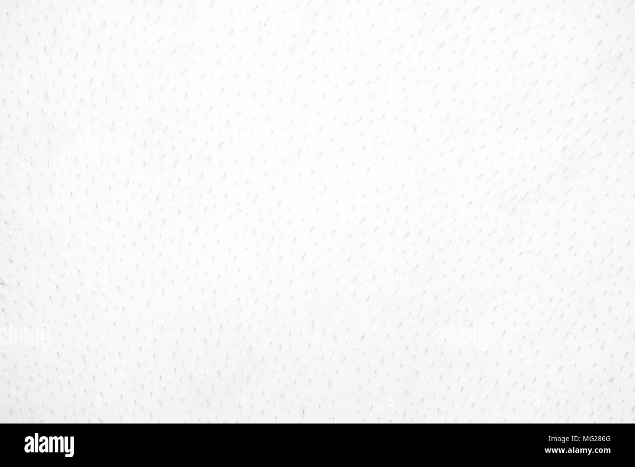 Buffalo skin art hi-res stock photography and images - Alamy