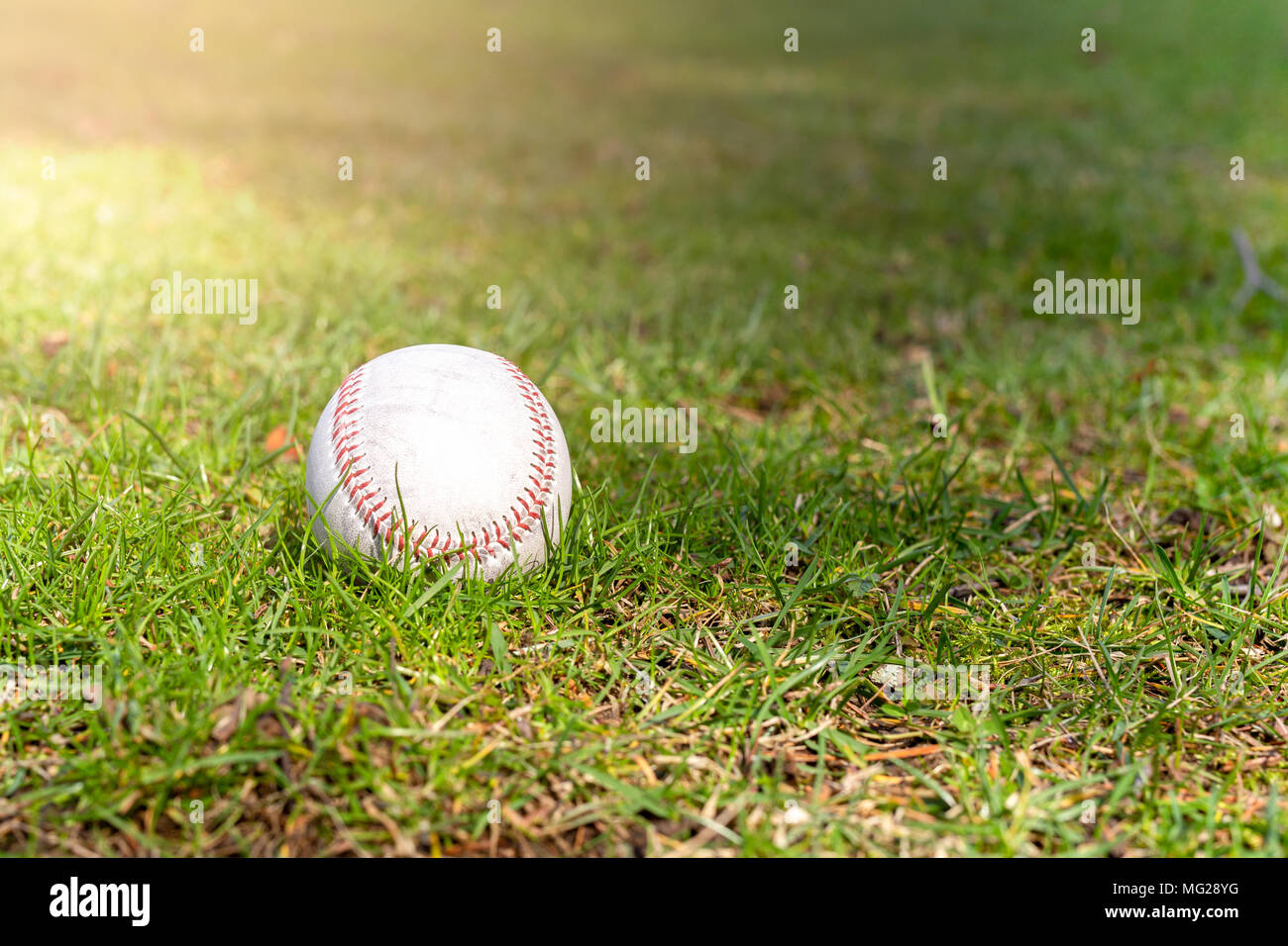 Used baseball laying on green grass on baseball field Stock Photo - Alamy