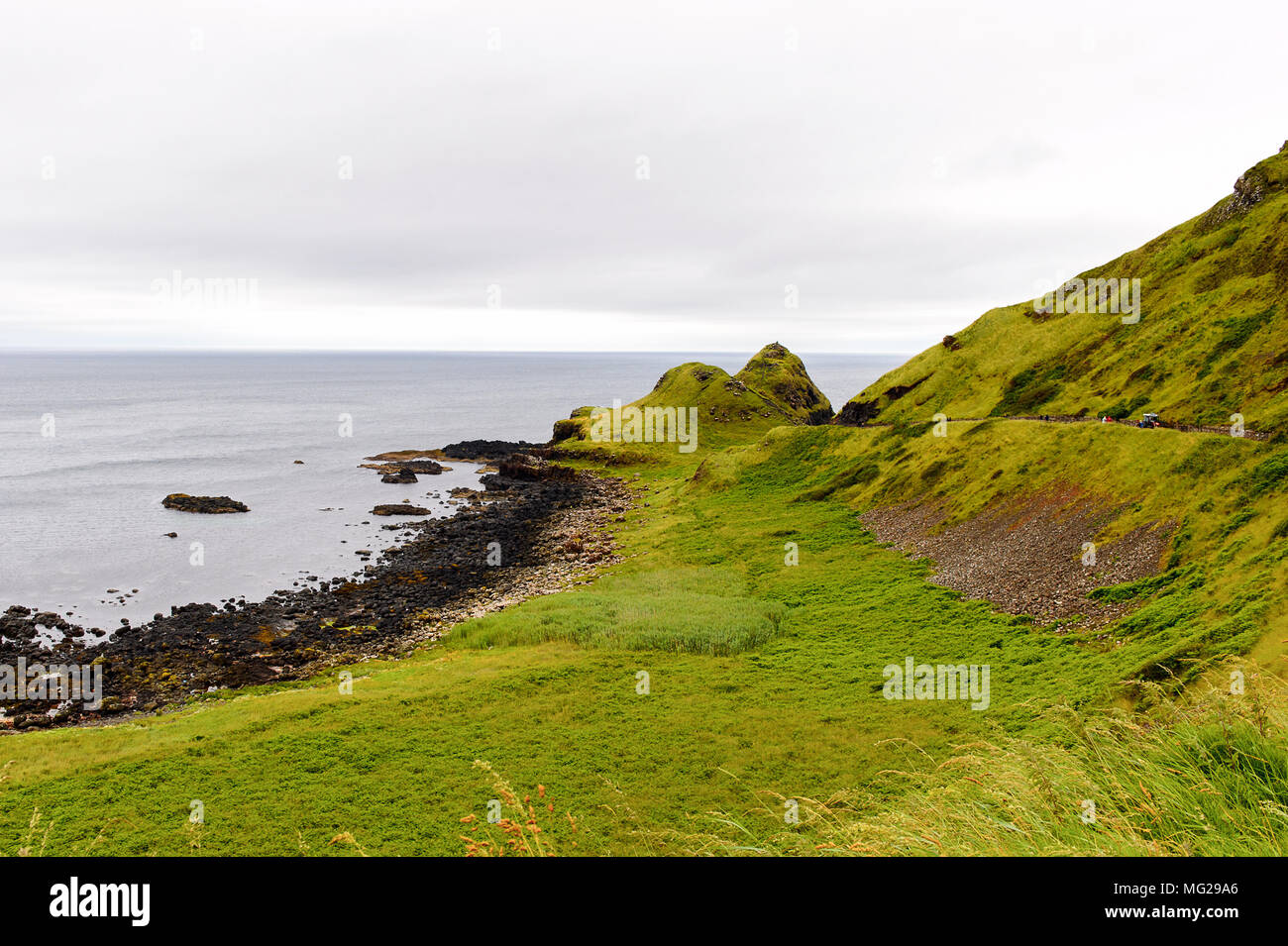 Nature of the Giant's Causeway and Causeway Coast, the result of an ...