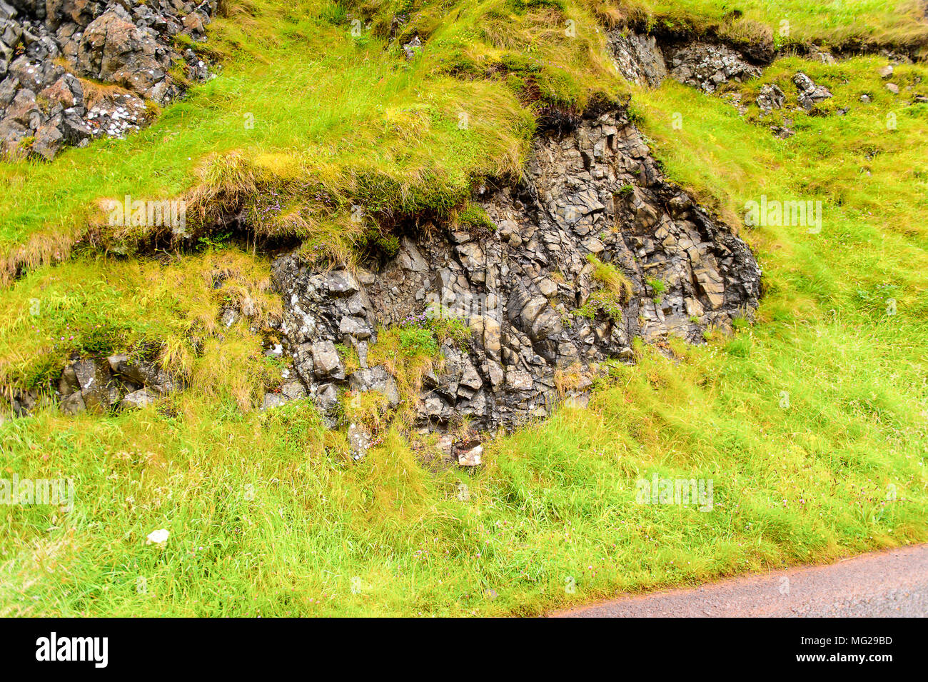 Nature of the Giant's Causeway and Causeway Coast, the result of an ...