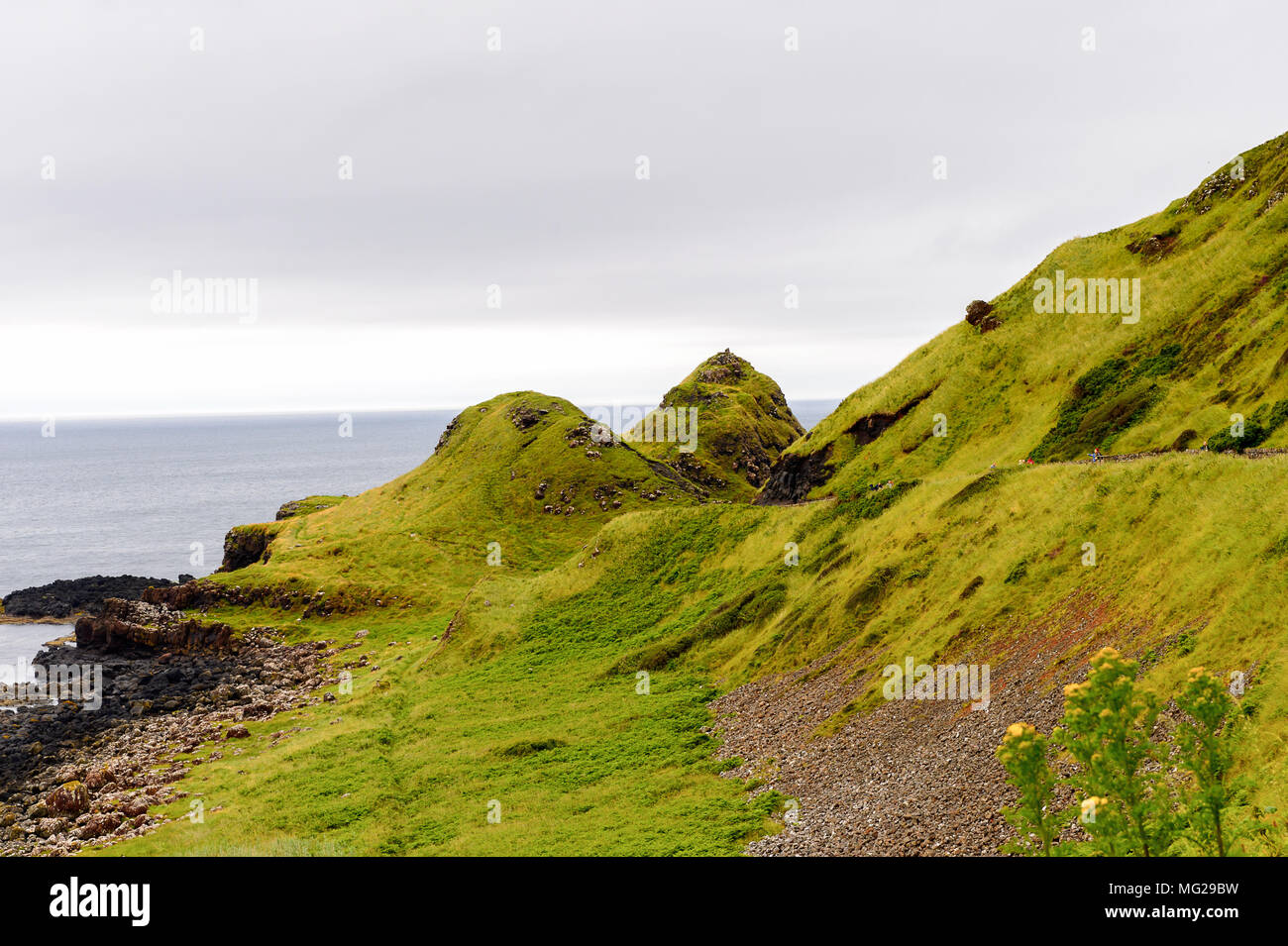 Nature of the Giant's Causeway and Causeway Coast, the result of an ...