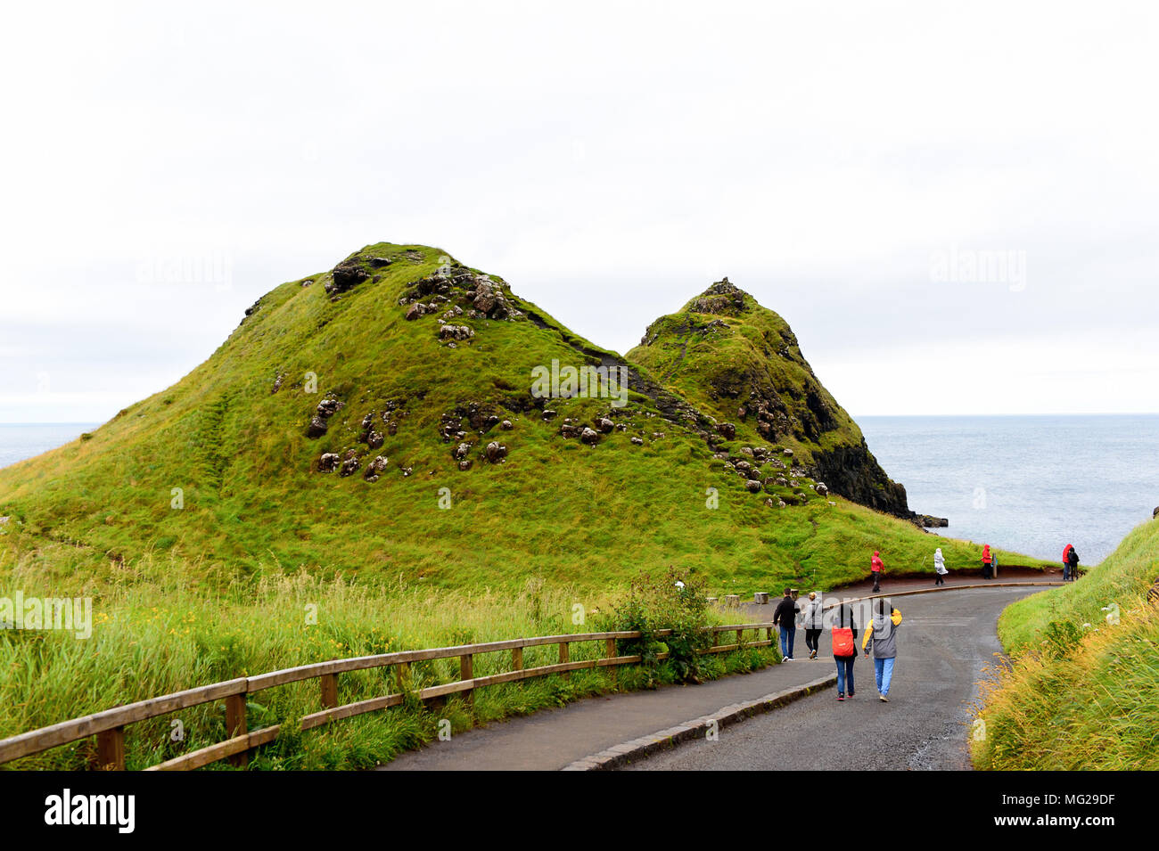 Nature of the Giant's Causeway and Causeway Coast, the result of an ...
