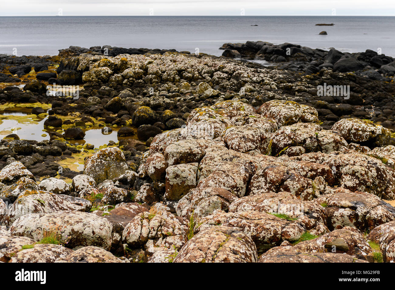 Nature of the Giant's Causeway and Causeway Coast, the result of an ...