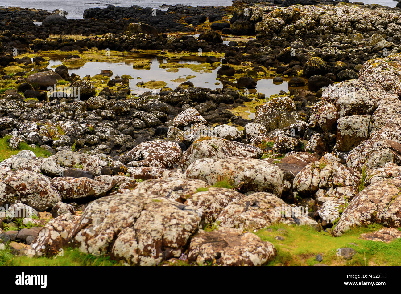 Nature of the Giant's Causeway and Causeway Coast, the result of an ...