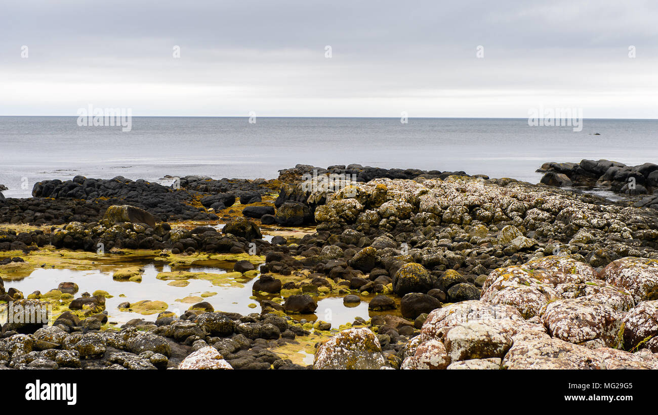 Nature of the Giant's Causeway and Causeway Coast, the result of an ...