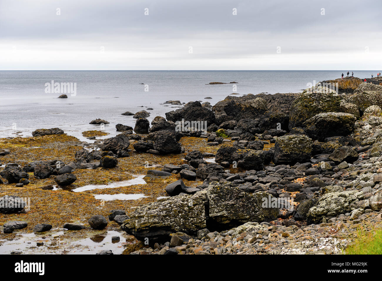 Spectacular view of the Giant's Causeway and Causeway Coast, the result ...