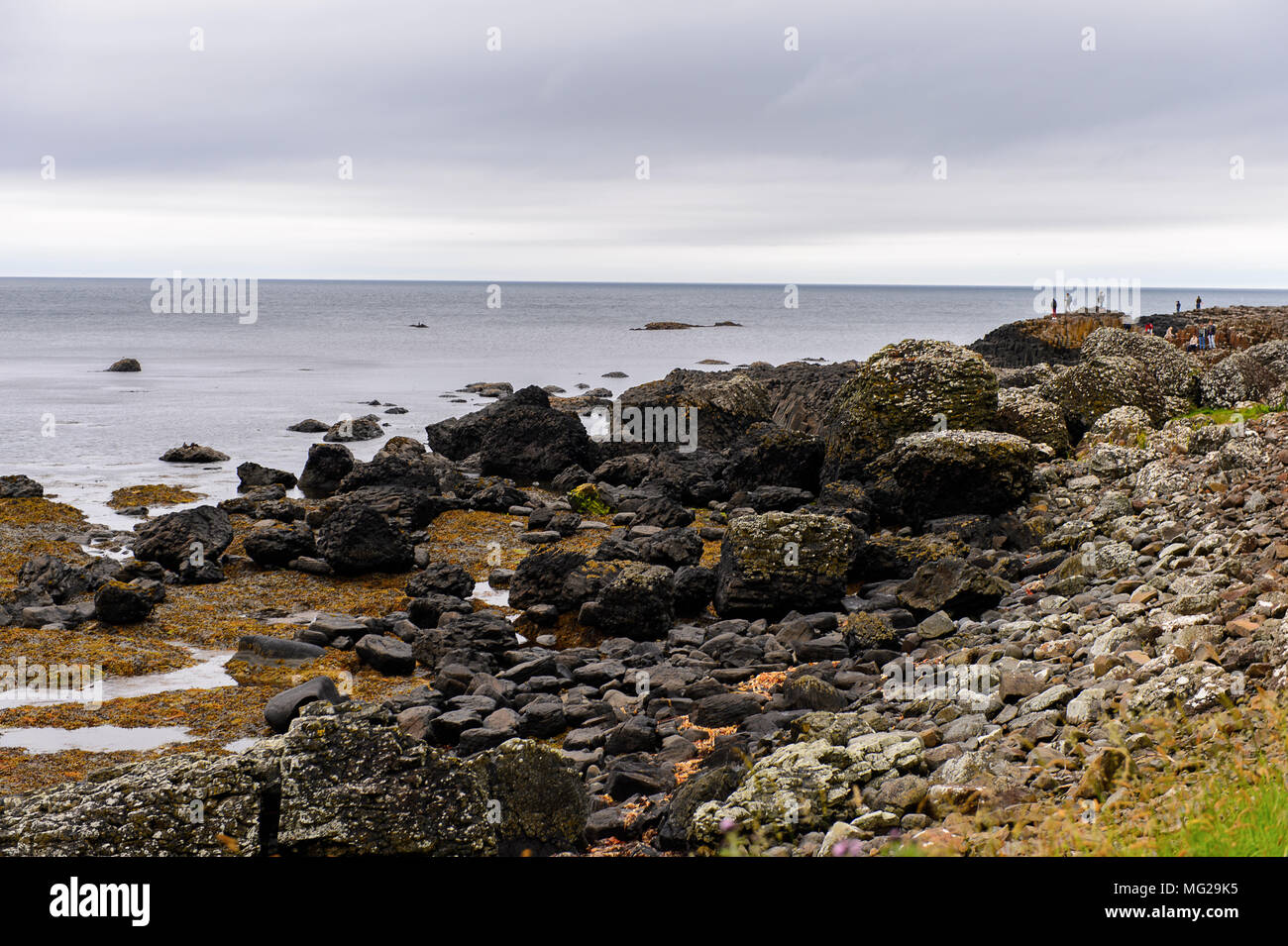 Spectacular view of the Giant's Causeway and Causeway Coast, the result ...