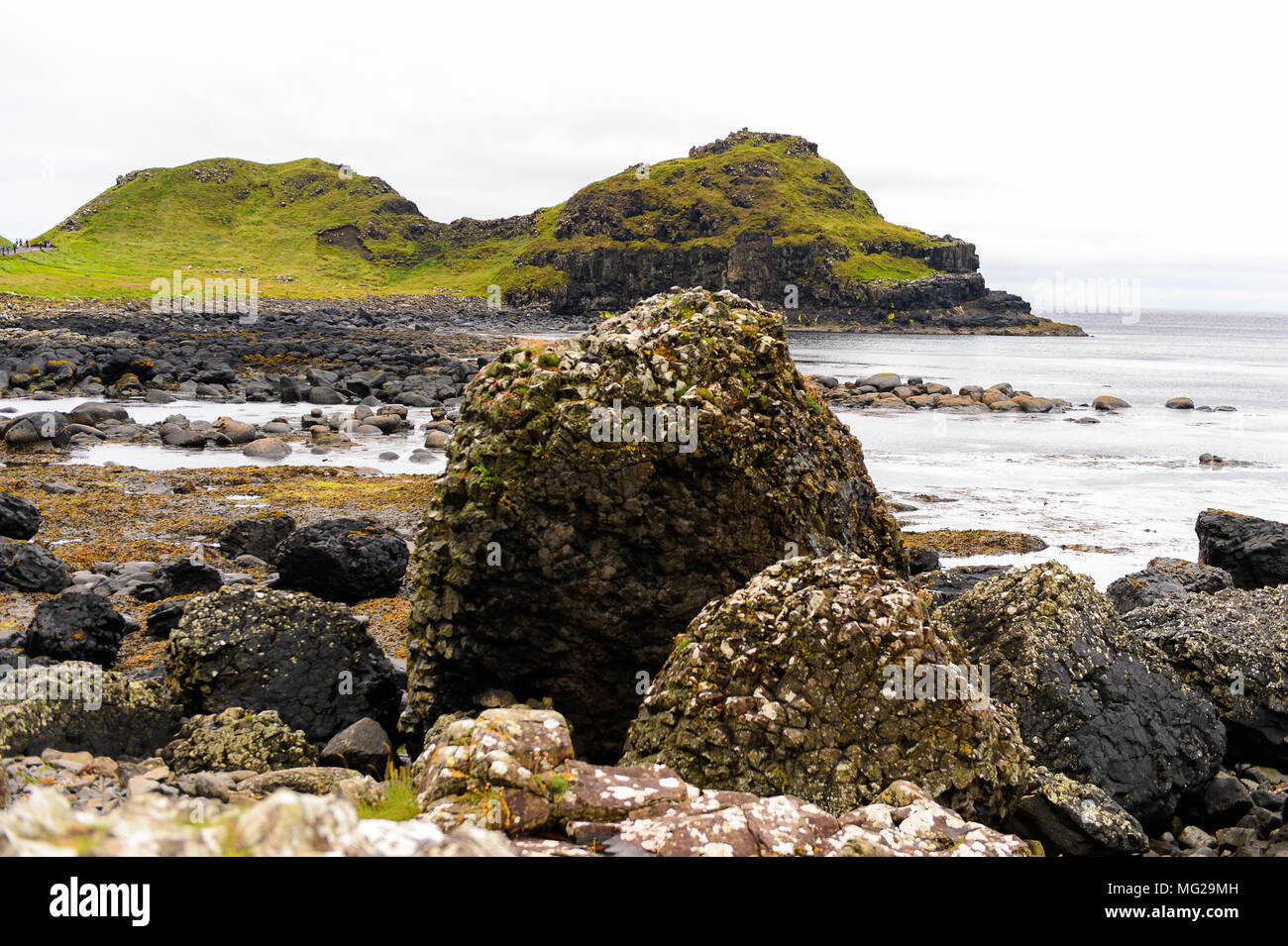 Spectacular view of the Giant's Causeway and Causeway Coast, the result ...