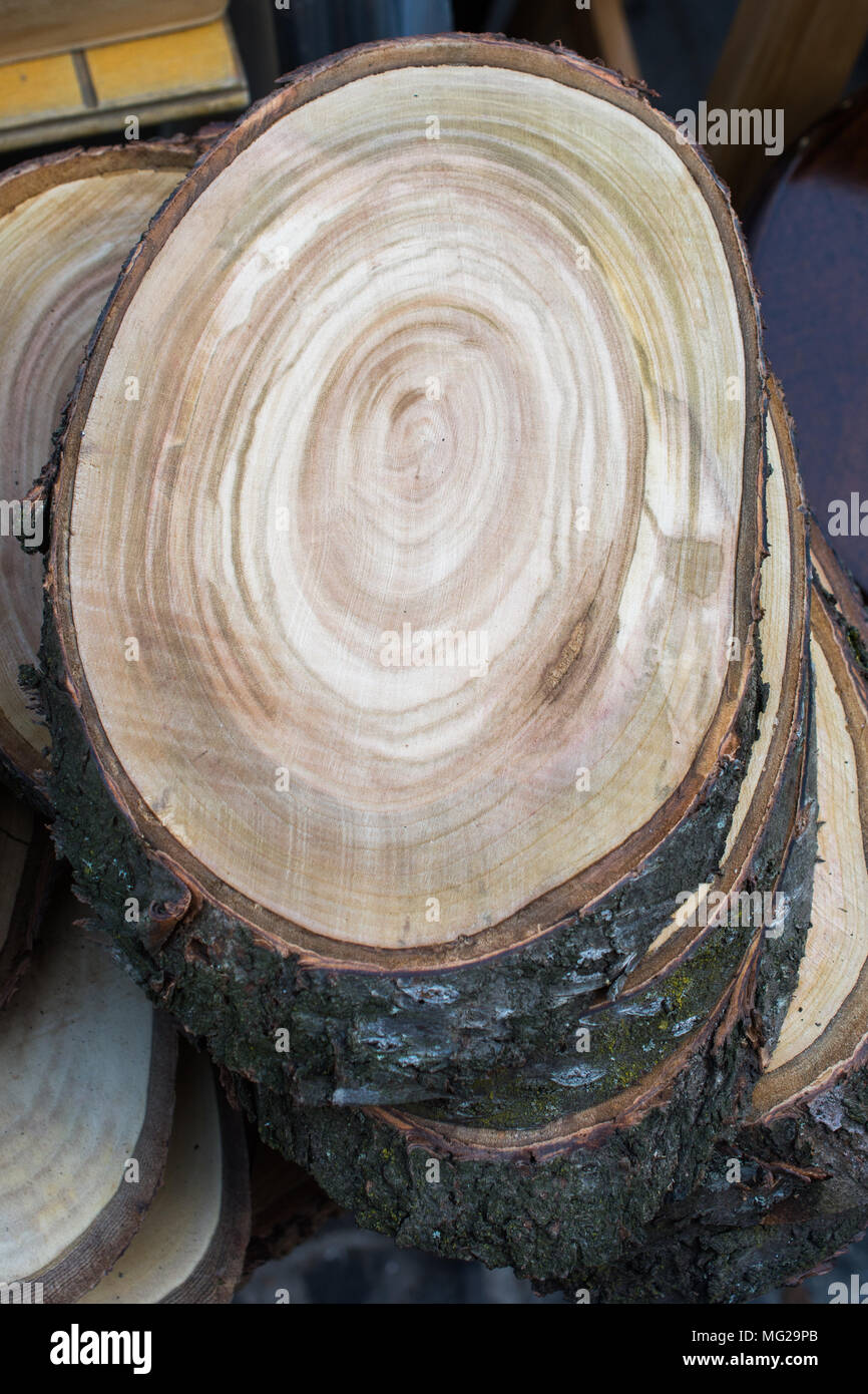 Piece of cut wood log texture as background Stock Photo - Alamy