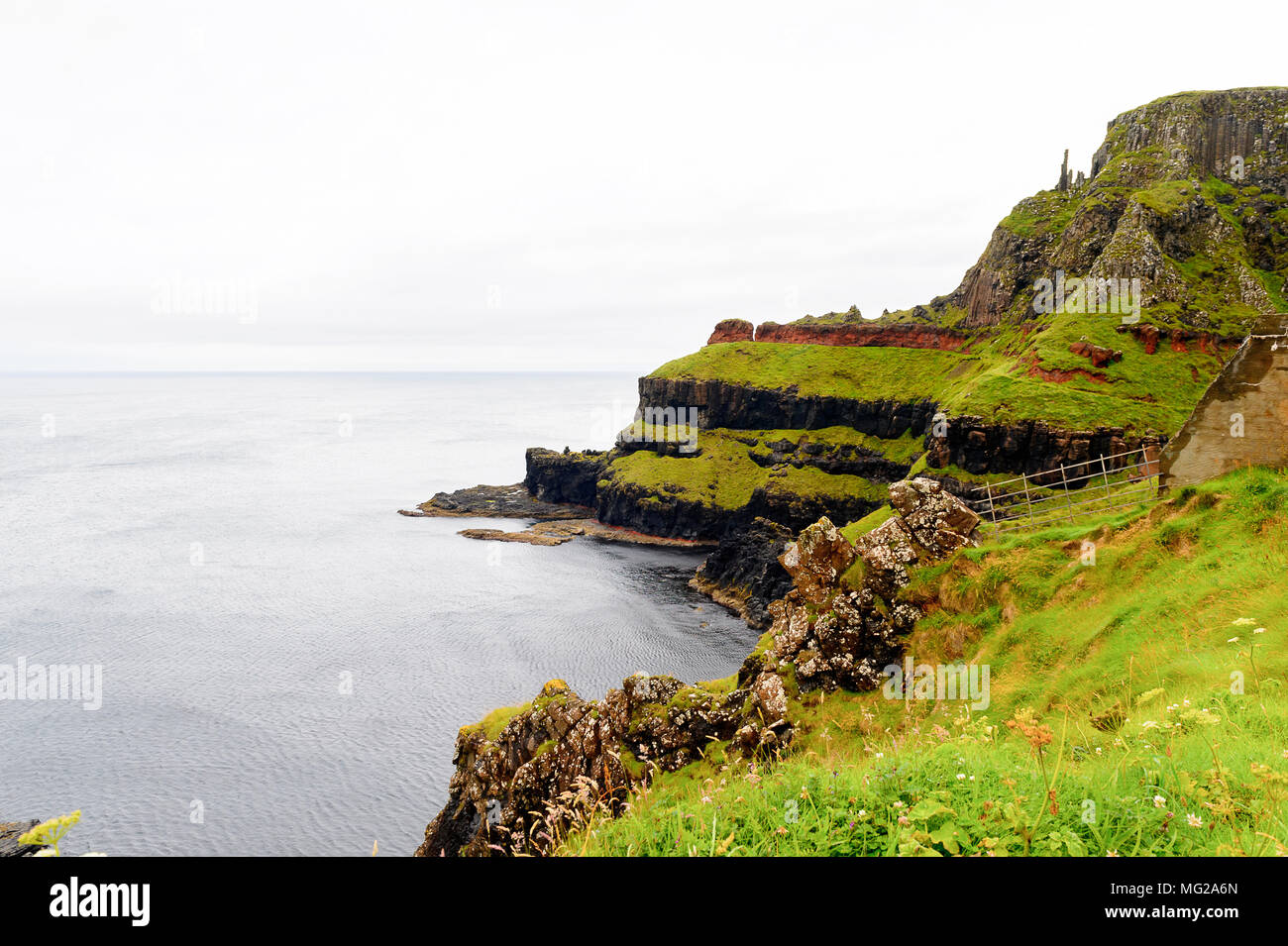 Nature of the Giant's Causeway and Causeway Coast, the result of an ...