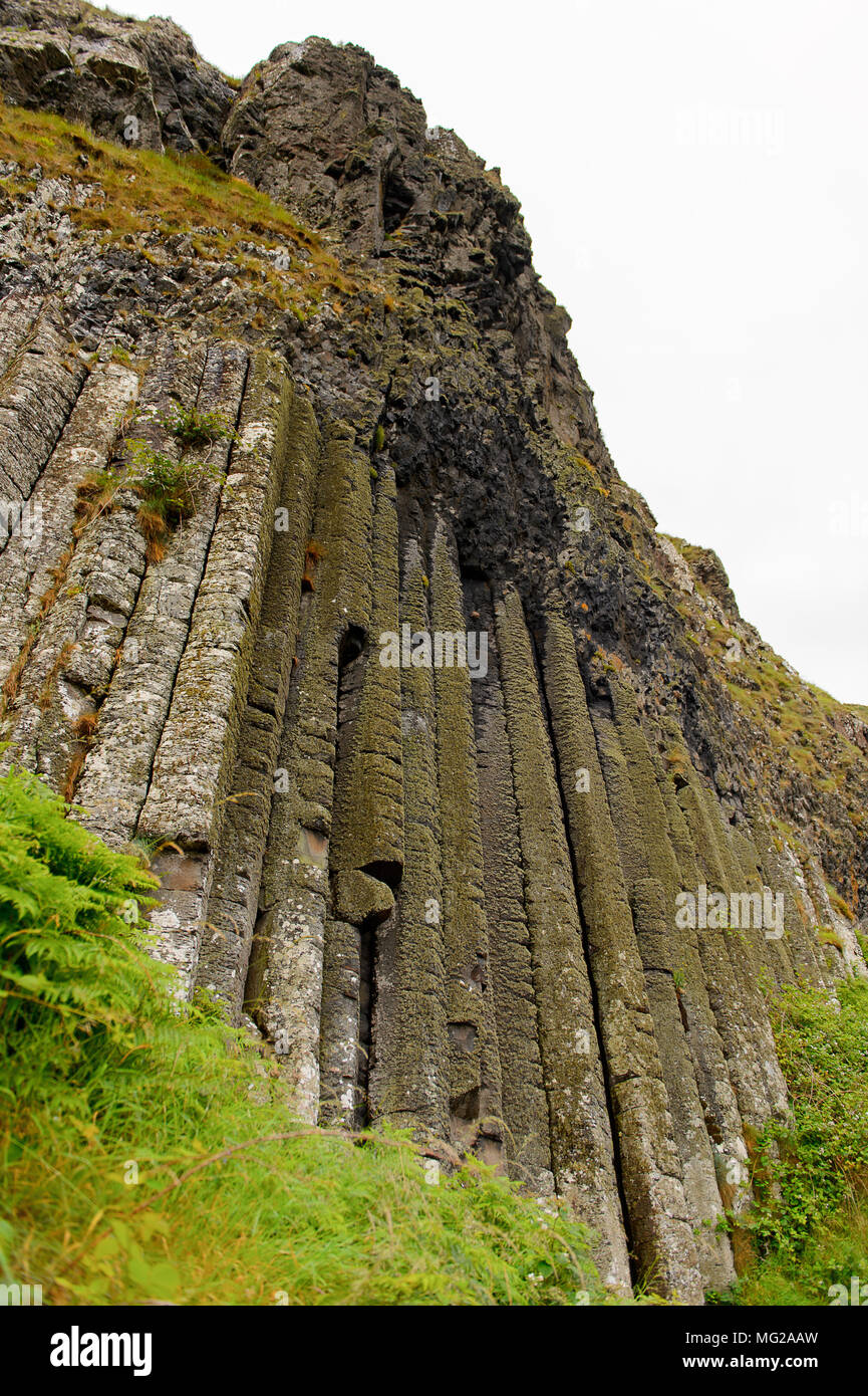 Nature of the Giant's Causeway and Causeway Coast, the result of an ...