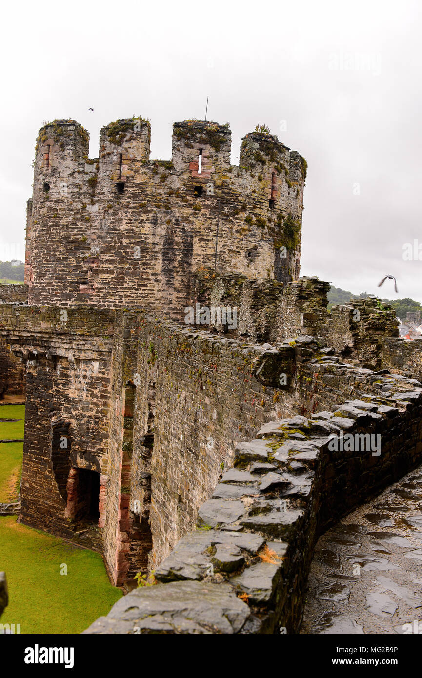 Conway Castle is a medieval fortification in Conwy, Wales, UNESCO World ...