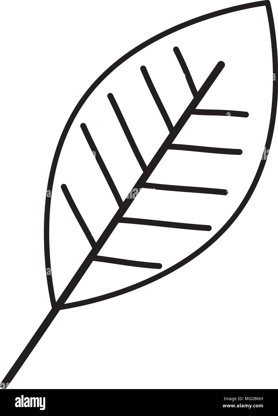 Leaf Single Decorative Icon Stock Vector Image And Art Alamy
