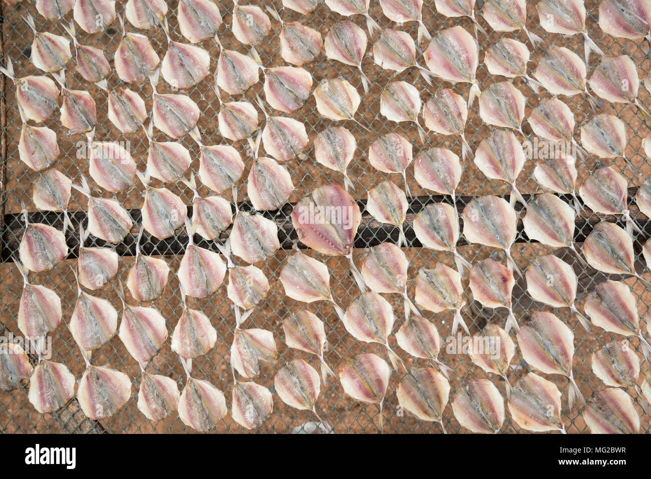 Dry mackerel fish hi-res stock photography and images - Alamy
