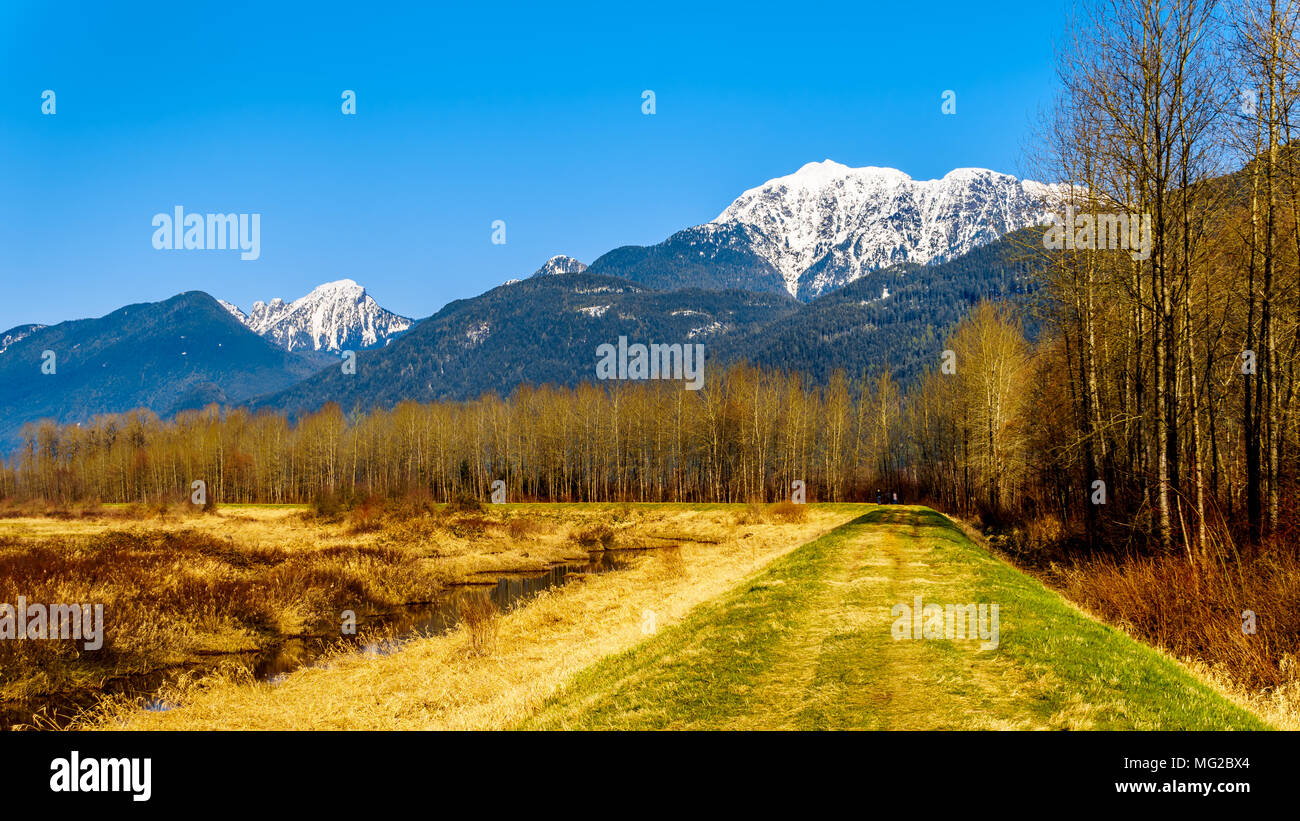 Dyke Marsh High Resolution Stock Photography and Images - Alamy