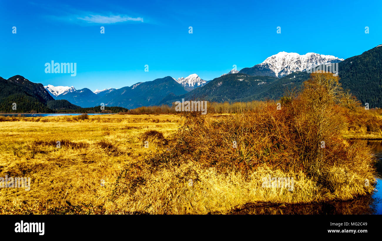 Dyke Marsh High Resolution Stock Photography and Images - Alamy