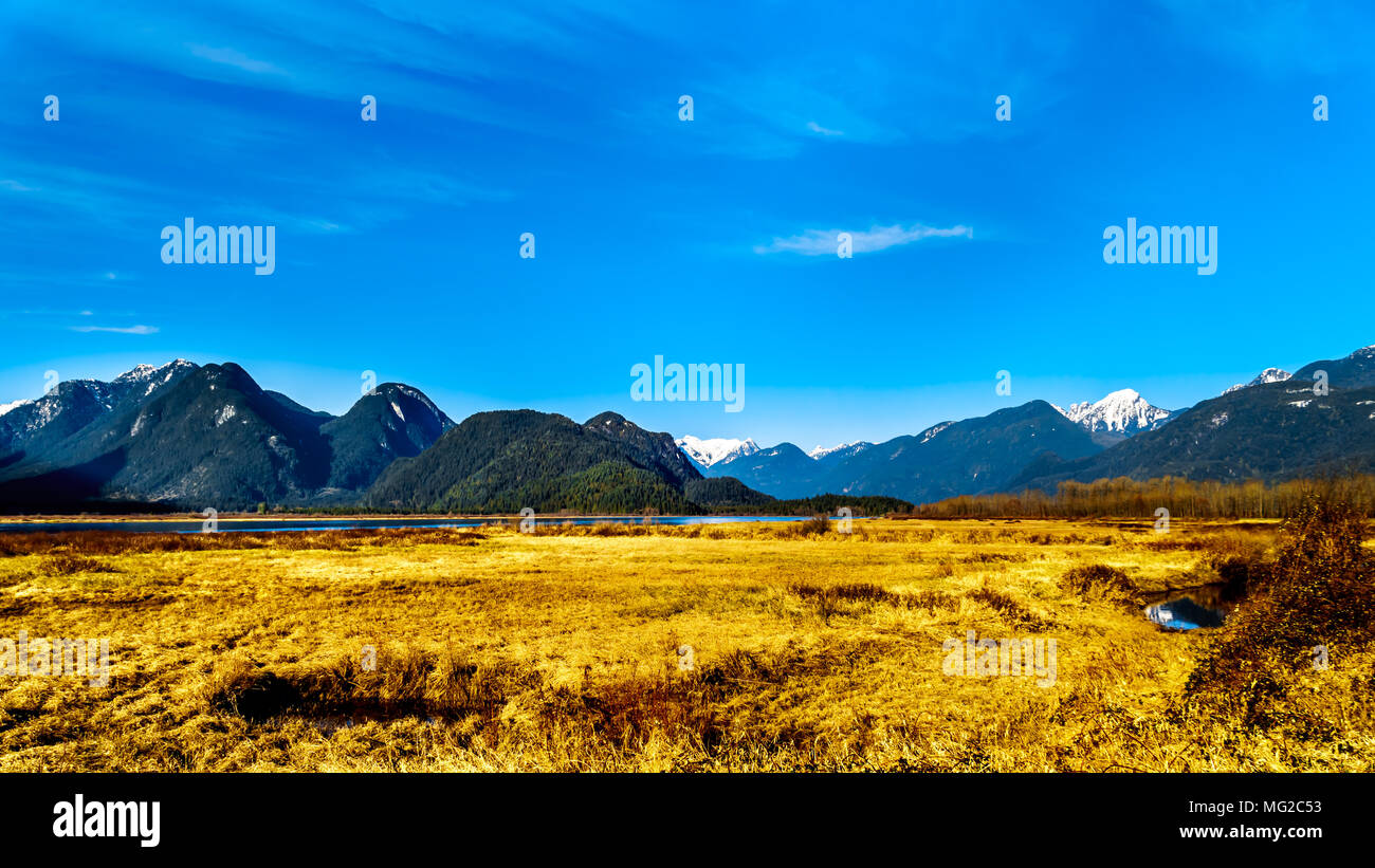 Dyke Marsh High Resolution Stock Photography and Images - Alamy