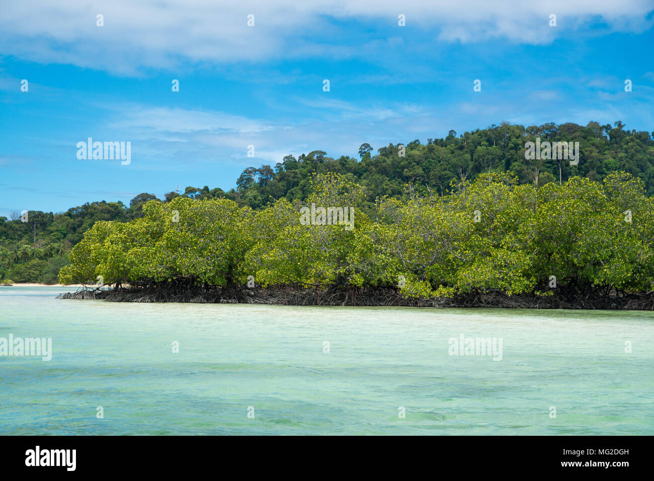 Sea island front view seascape sunny with tree around blue sky Stock ...