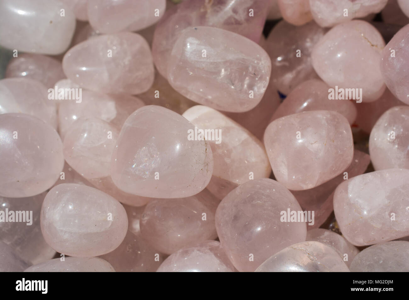tumbled Rose Quartz gem stone as mineral rock specimen Stock Photo - Alamy