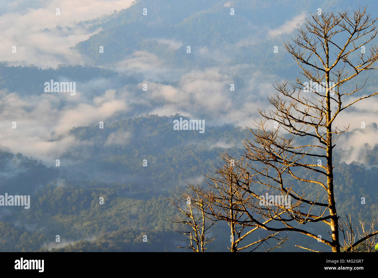 view of the Meratus mountains in South Borneo, Indonesia Stock Photo ...