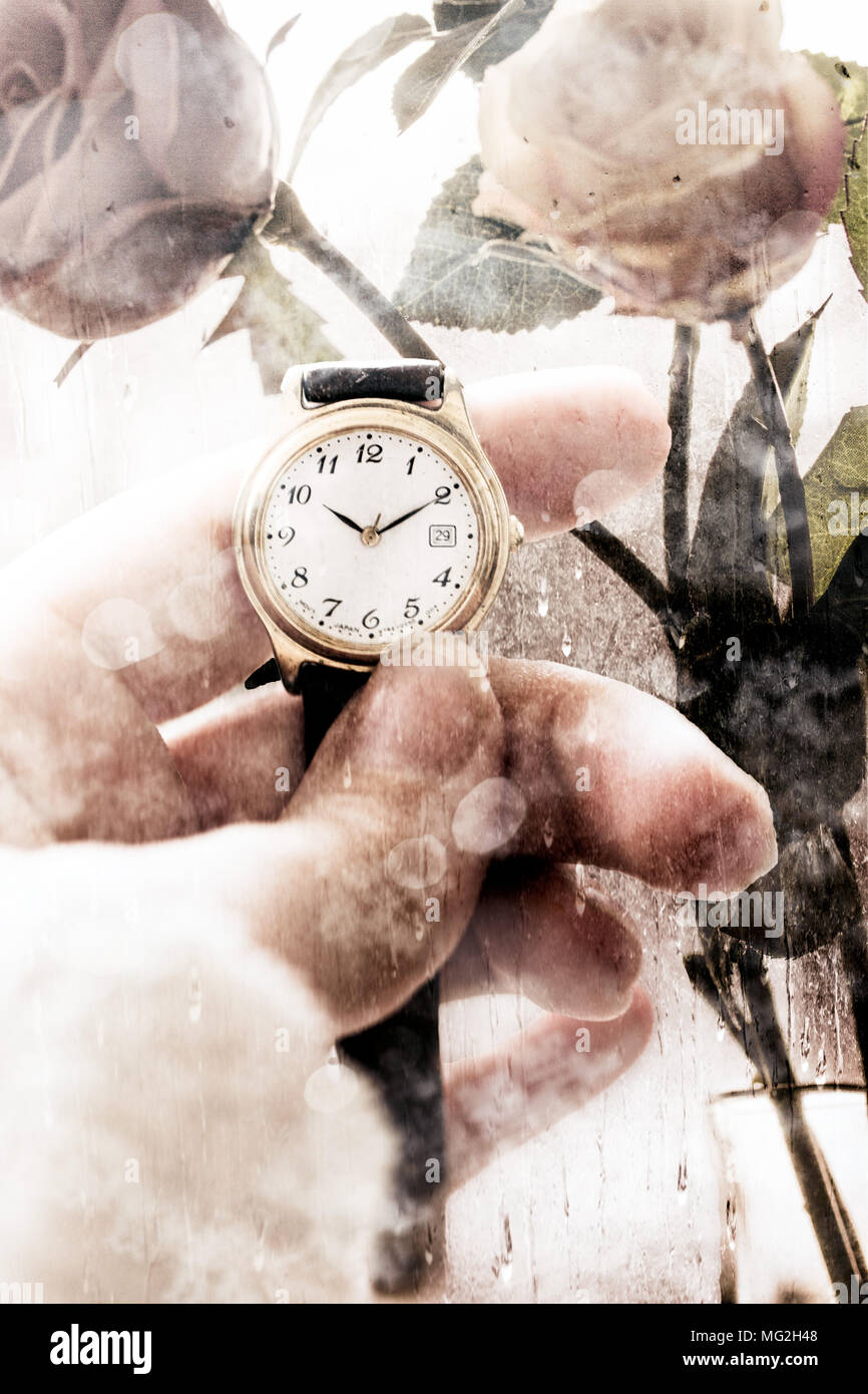 Looking at watch in hand, abstract rose background Stock Photo - Alamy