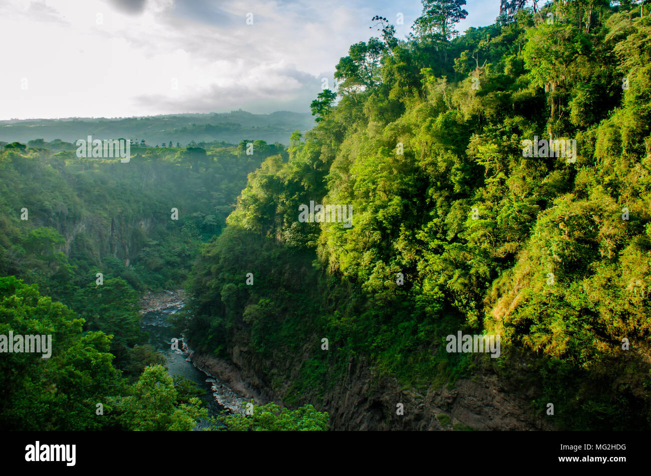 Scenic shot of the Rainforest view from the Cachi Dam, at Orosi, Costa ...