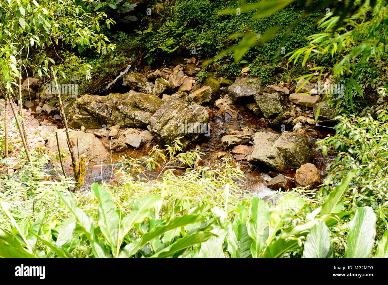 Silver waterfall in Vietnam Stock Photo - Alamy