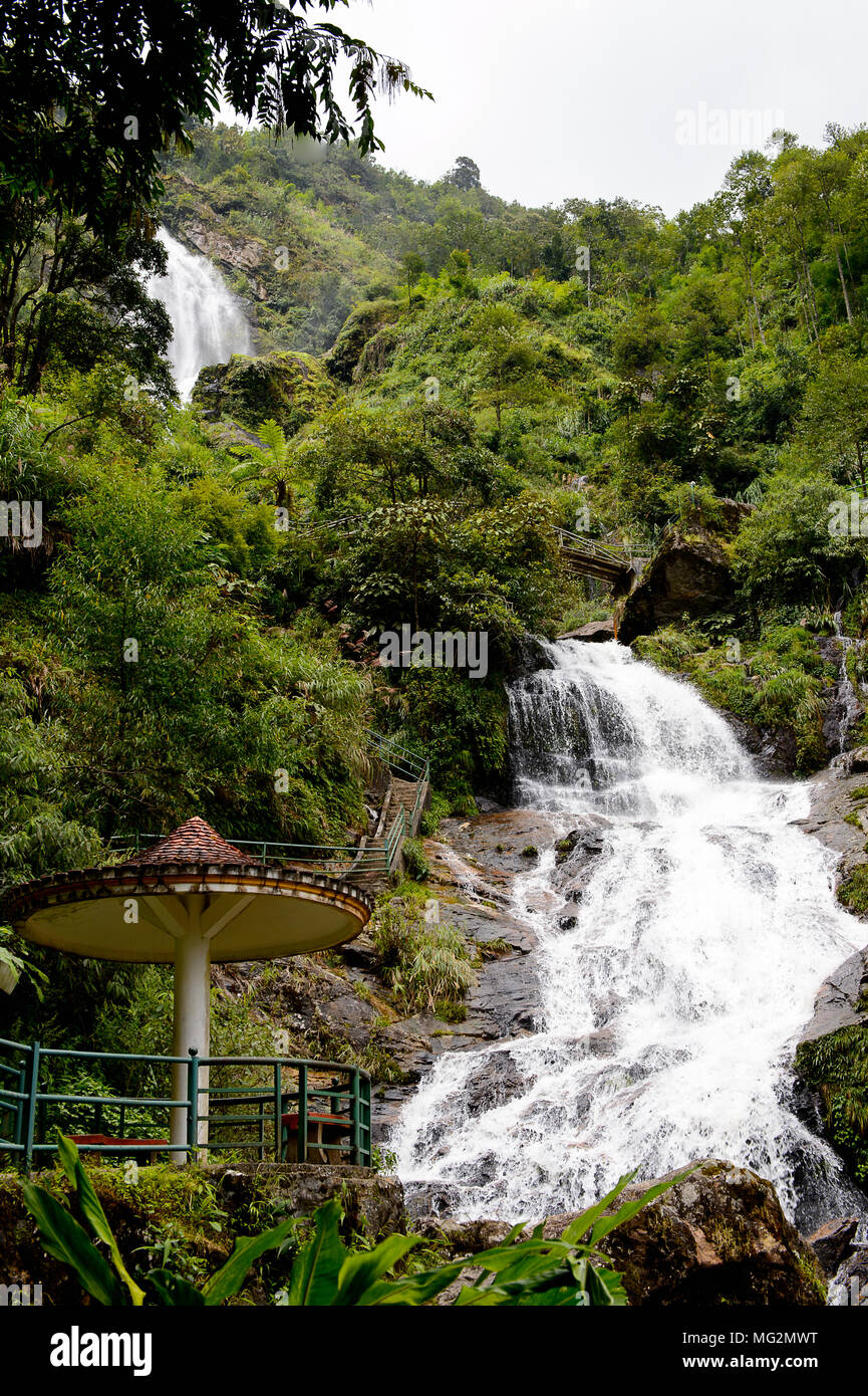 Silver waterfall in Vietnam Stock Photo - Alamy