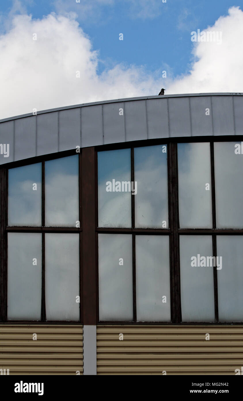 Crow on roof building hi-res stock photography and images - Alamy