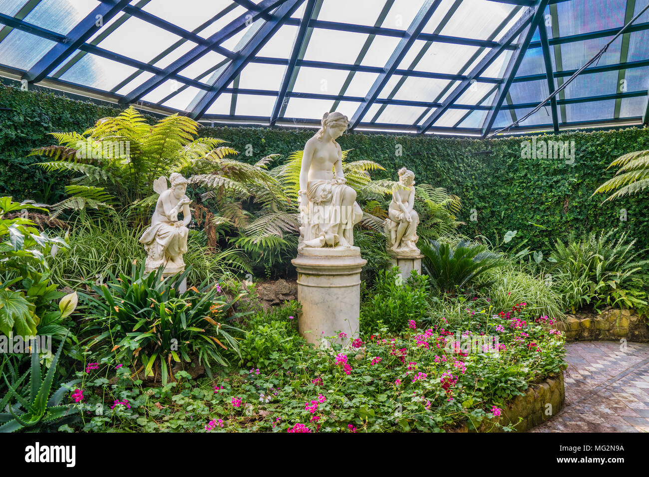 lush green plant collection at the Fernery of Machattie Park Bathurst ...