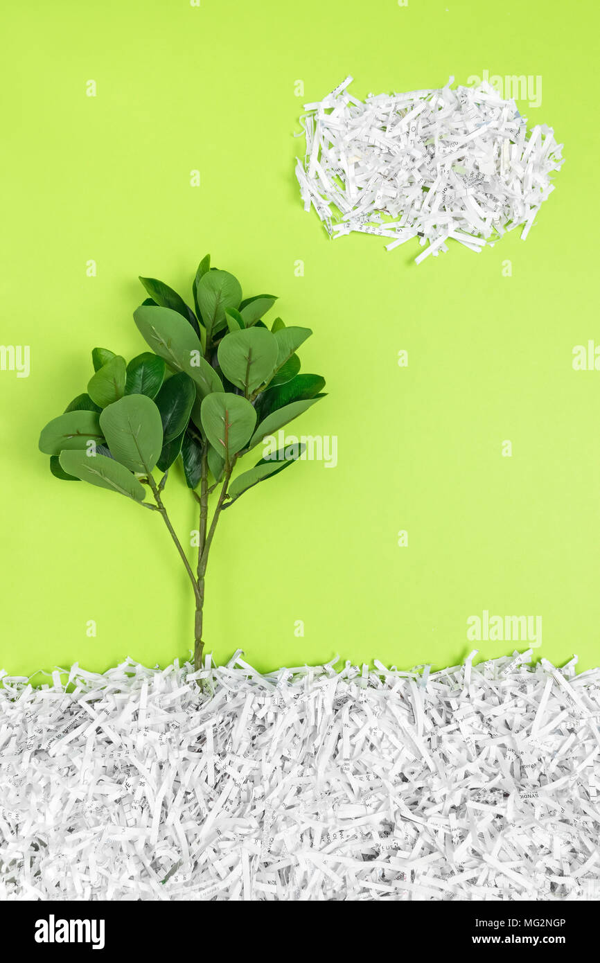 Green tree growing in recycled shredded paper, on bright green ...