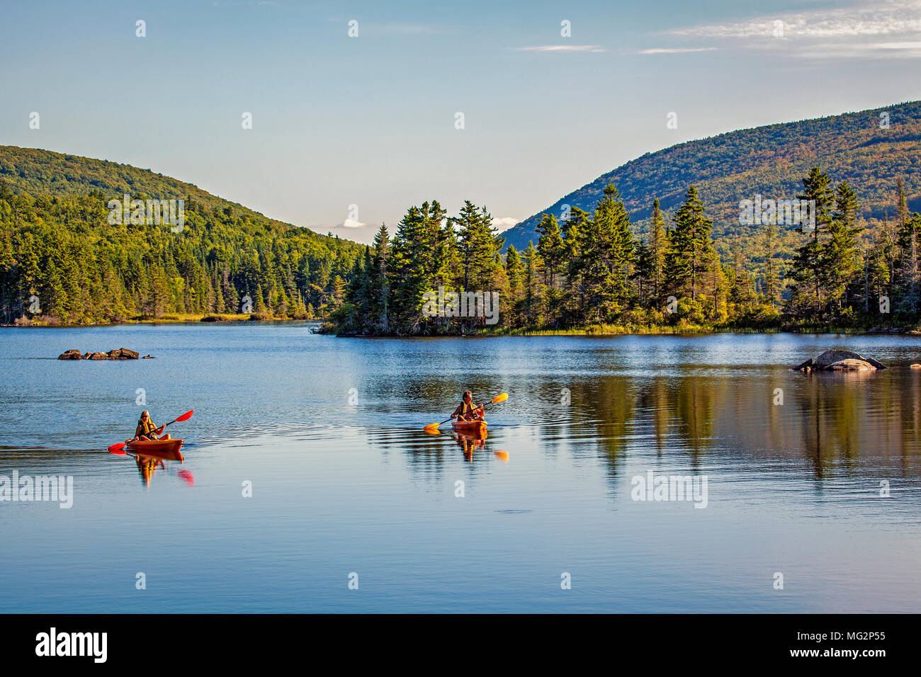 Clean water pond hi-res stock photography and images - Alamy