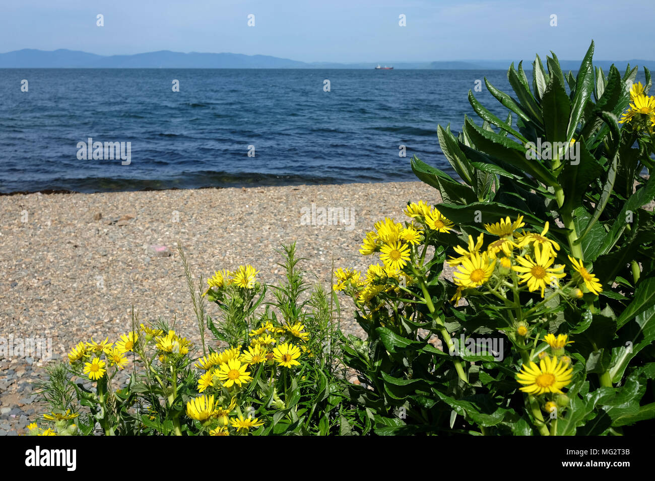 Bright blue sea hi-res stock photography and images - Alamy